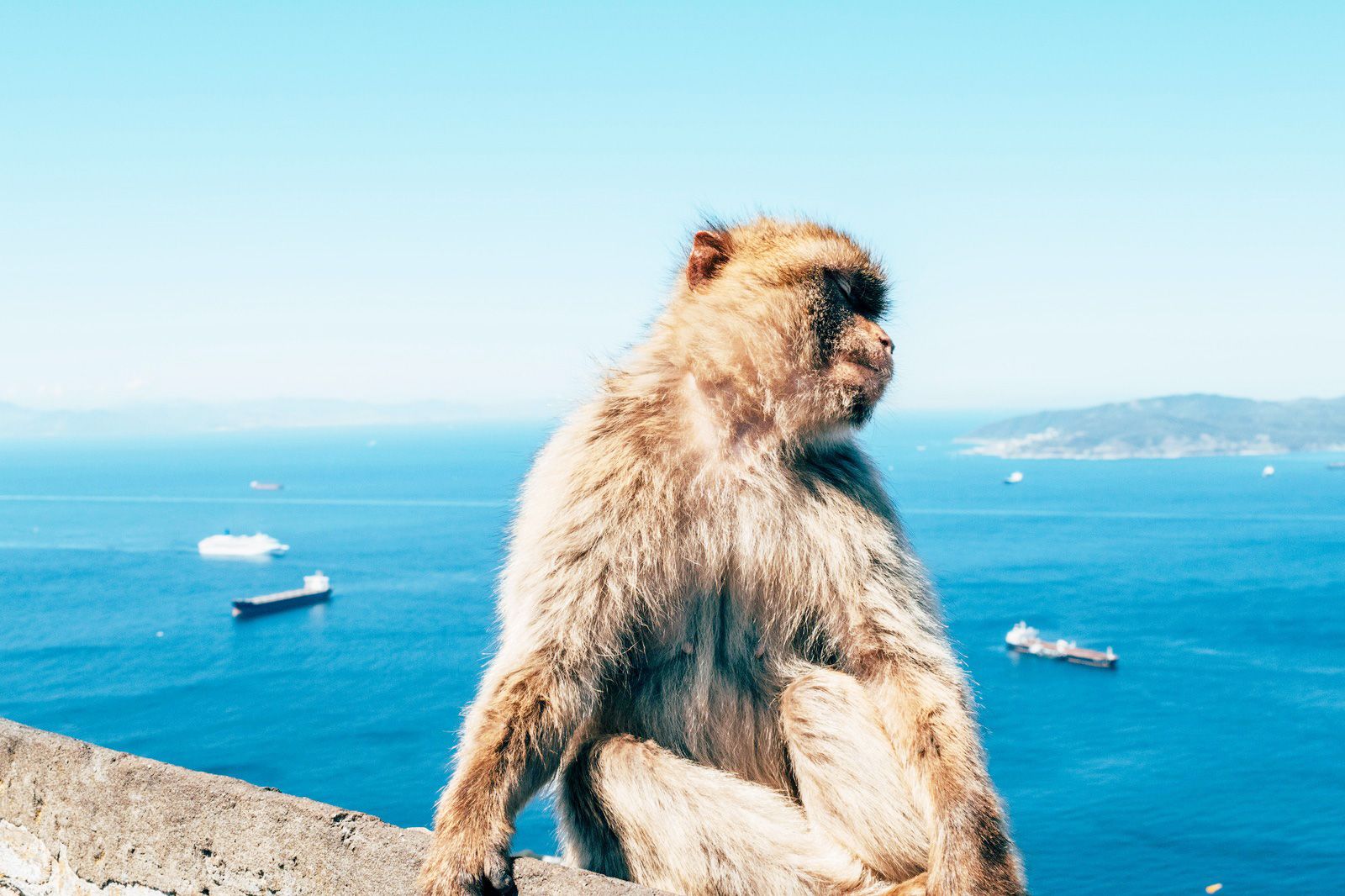 Stay connected with a Gibraltar eSIM | 5G | Tier 1 network coverage ...