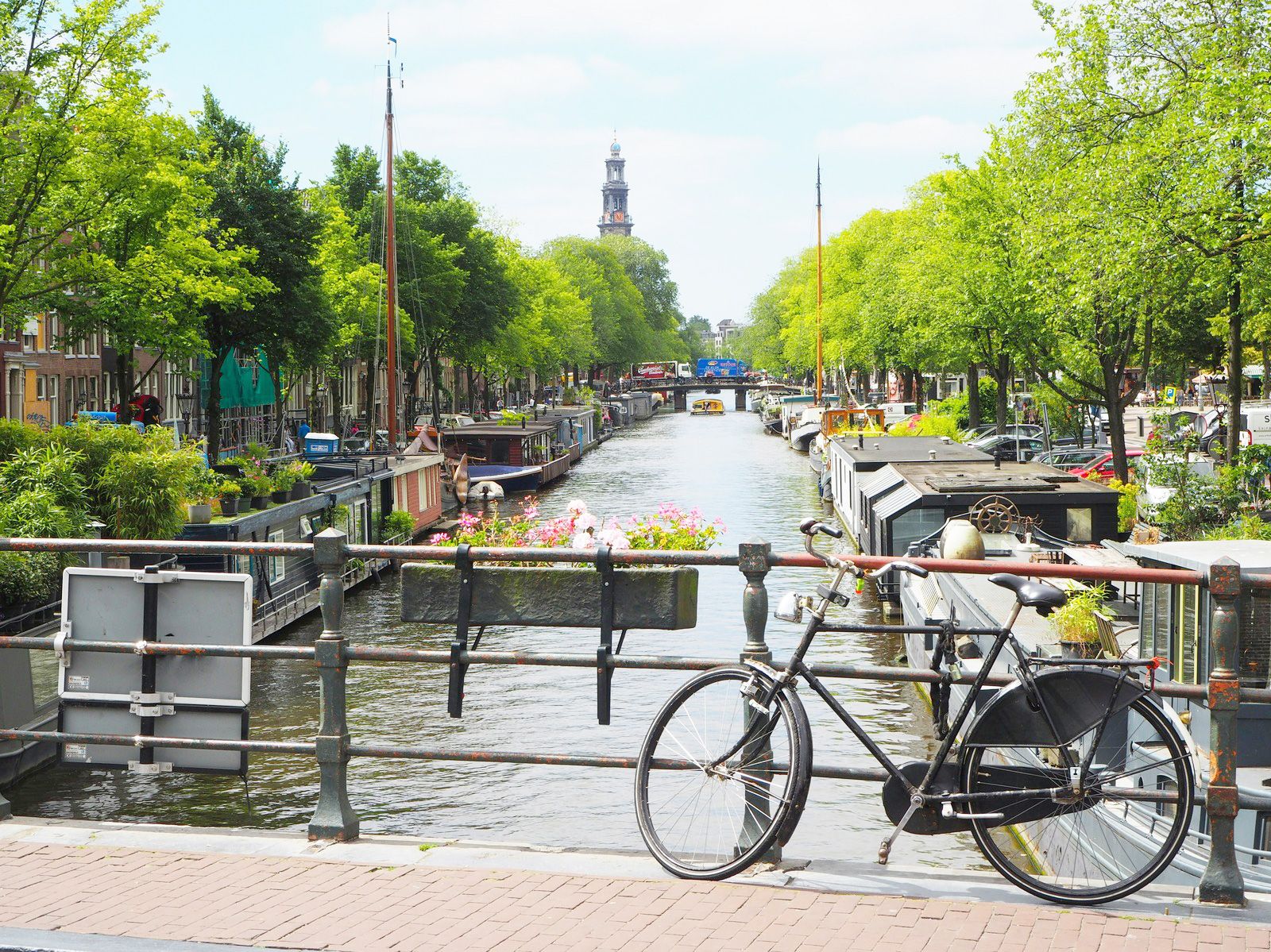 Stay connected with a Netherlands eSIM | 5G | Multi-network coverage ...